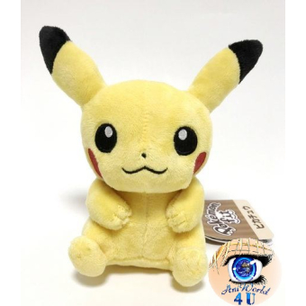 Pokemon plush Pikachu Pokemon center fit | Aniworld4u